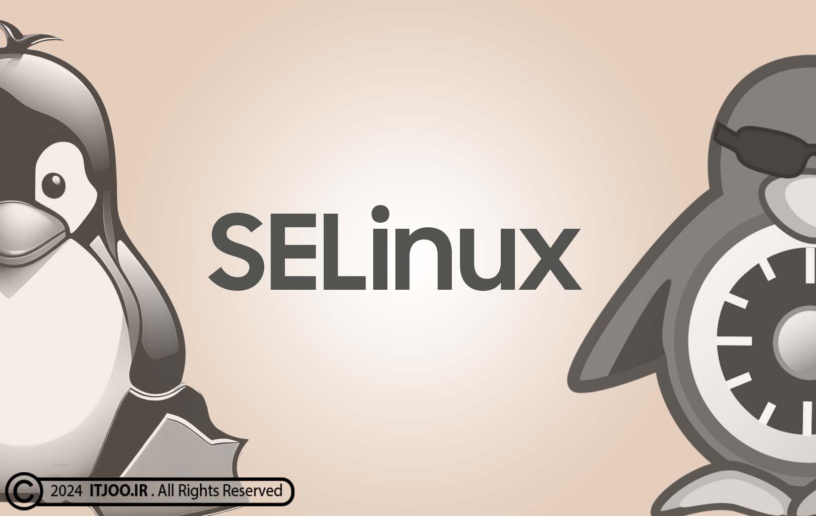 SELinux چیست؟ – بیسیم نت
